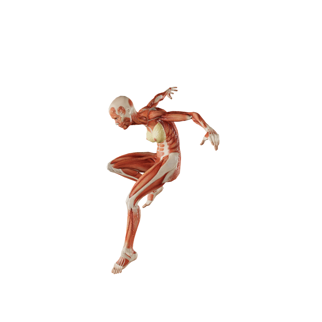 Pose 0000087, Féminin, Saut | POSEMANIACS - Royalty free 3d pose ...