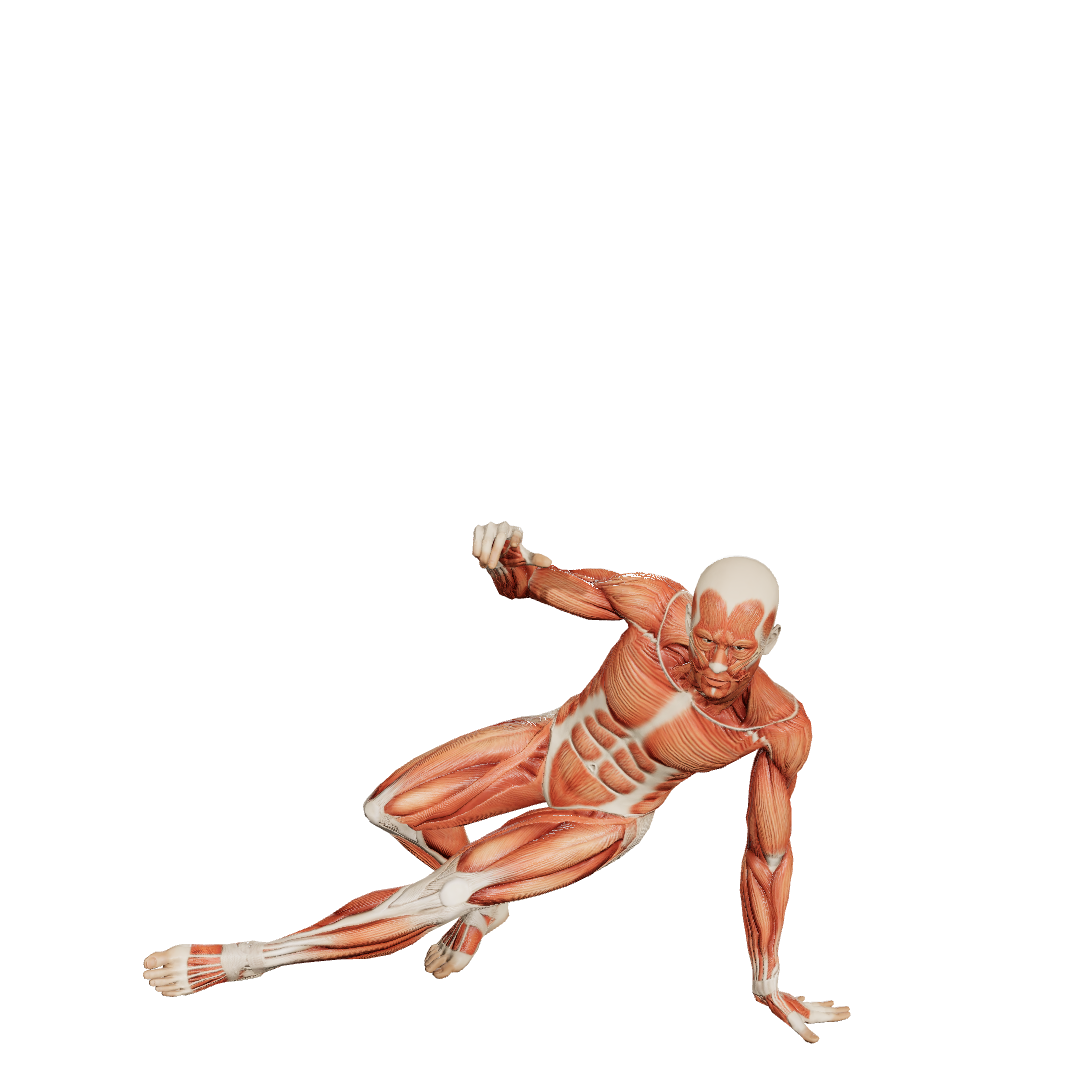 Pose 01GBVYGTCMP84R40JQTH2K1HDT, Male, Dancing, Twisting body, Raising ...