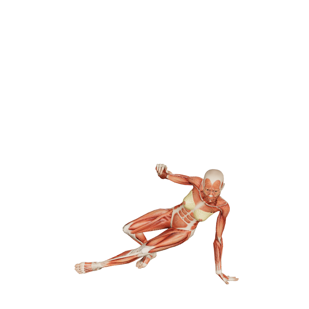 Pose 0000140, Féminin, Danse, Rotation du corp, Lever le bras, Rotation ...