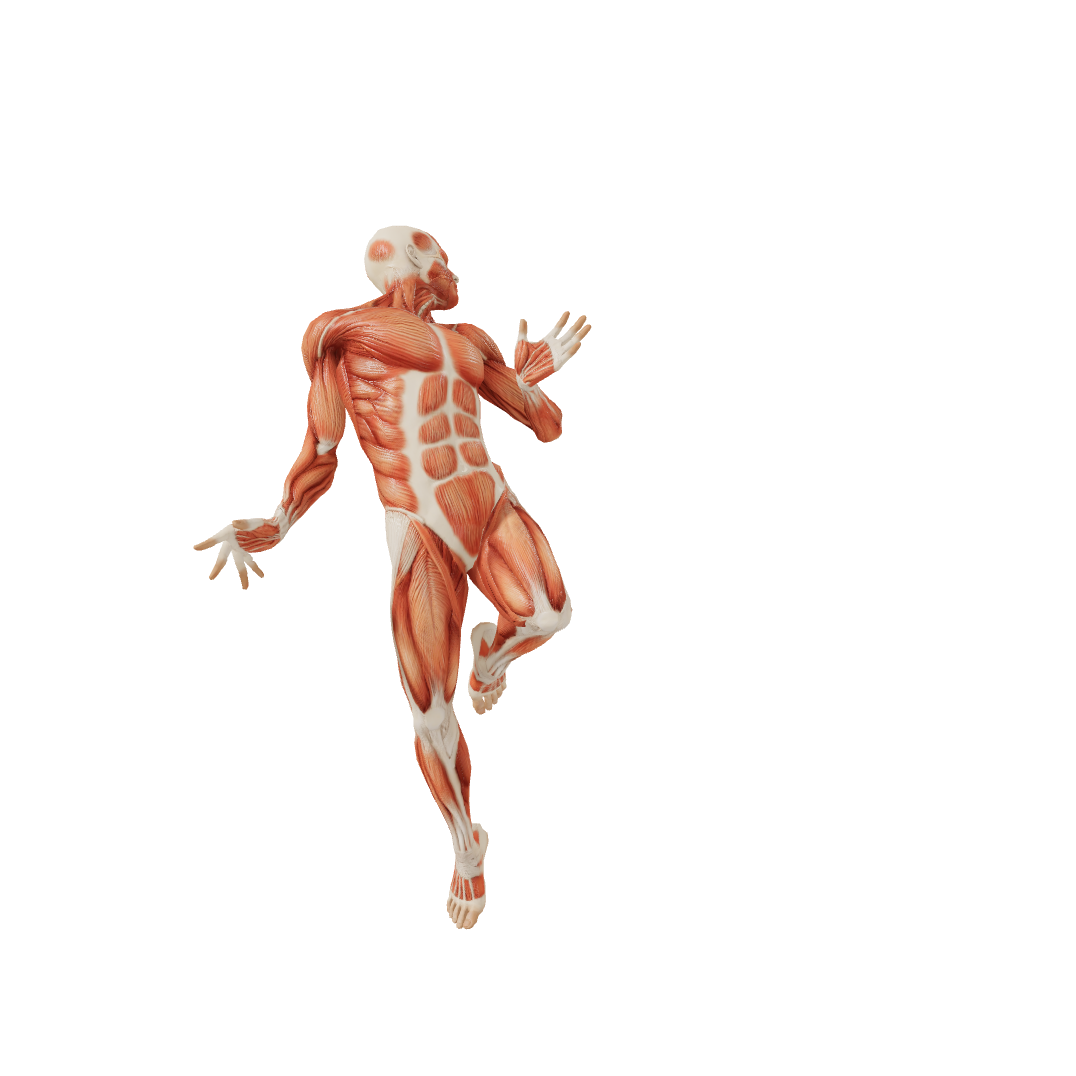 Pose 01GBVYHSPVERH7FA4E2V3VEVRQ, Male, Standing, Dancing, Twisting body ...