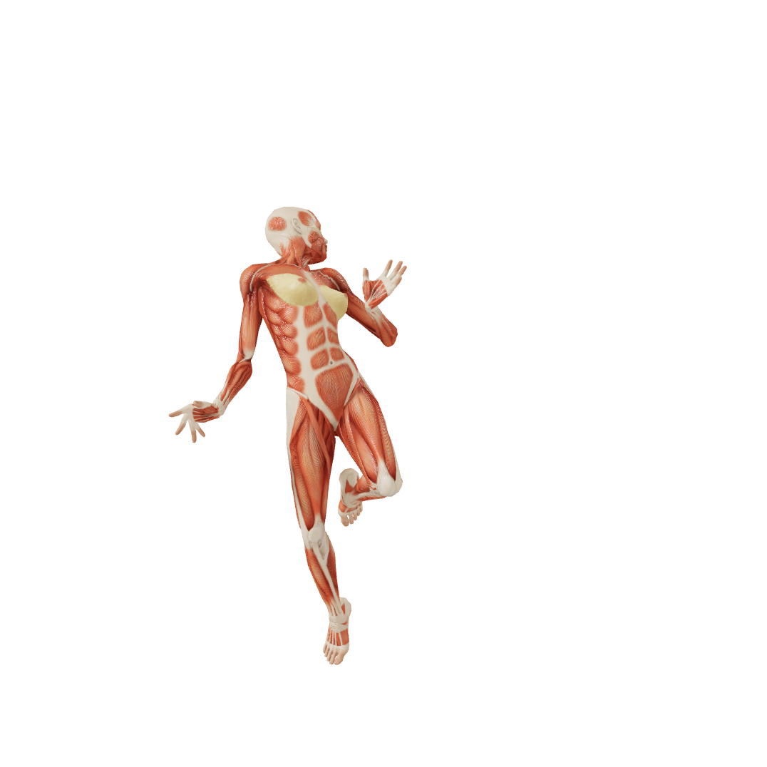 Pose 01GBVYHT0K876F6GNKCW07PNYR, Female, Standing, Dancing, Twisting ...