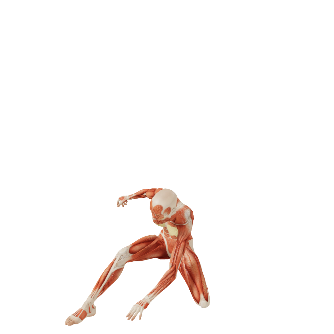 Pose 0000287, Female, Fighting, Squatting, Twisting body, Twisting neck ...