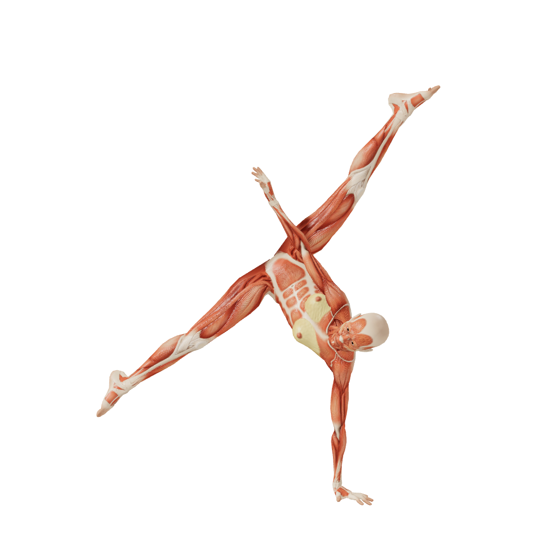 Pose 01GBVYKFMCXBBYTMYGNBVTK7E0, Female, Dancing, Hand standing ...