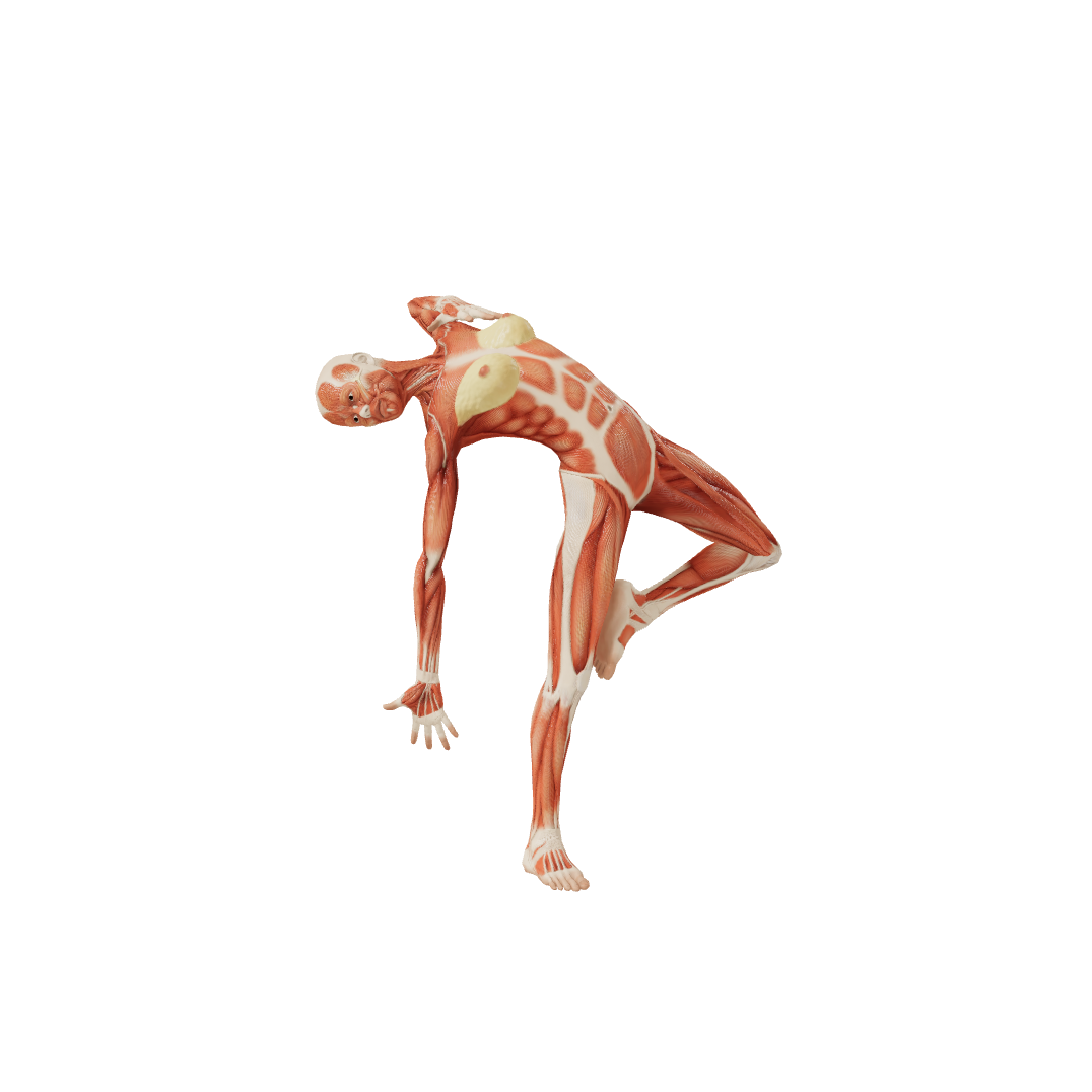 Pose 0000490, Female, Standing, Dancing, Twisting body, Twisting neck ...